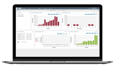 HR Reporting Software - Build Custom Dashboards | APS Payroll
